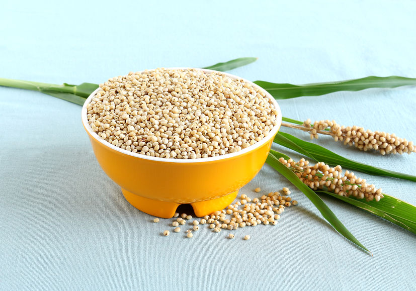 3 ricette con il sorgo - Cure-Naturali.it